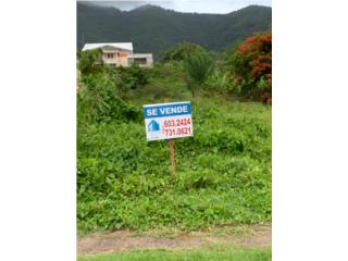 Clasificados Online Guardarraya, Patillas Puerto Rico