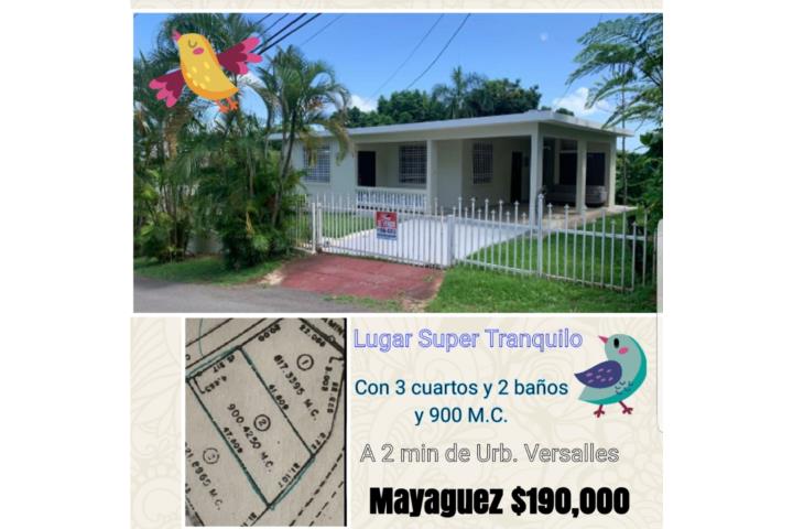 El Mani Puerto Rico, Venta Bienes Raíces Mayagüez Puerto Rico, Real ...