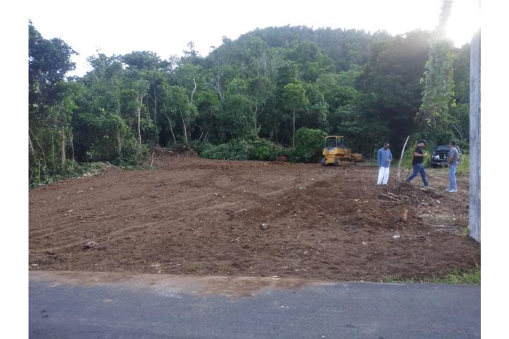Prados Del Rio Encantado Puerto Rico, Venta Bienes Raíces Florida ...