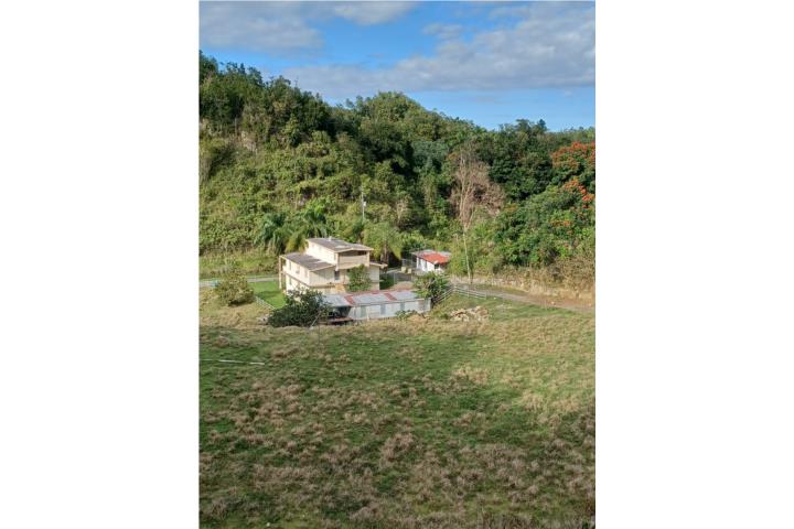 Pajonal Puerto Rico, Venta Bienes Raíces Florida Puerto Rico, Real ...