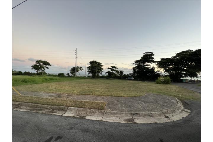Guardarraya Puerto Rico, Venta Bienes Raíces Patillas Puerto Rico, Real ...