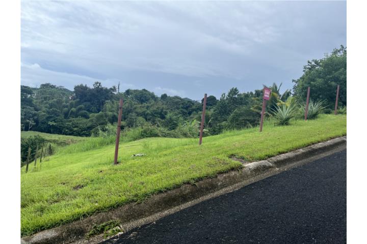 Valle Escondido Puerto Rico, Bienes Raices Valle Escondido Real Estate ...