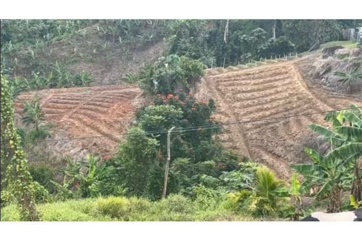 Tejas Puerto Rico, Venta Bienes Raíces Yabucoa Puerto Rico, Real Estate for Sale