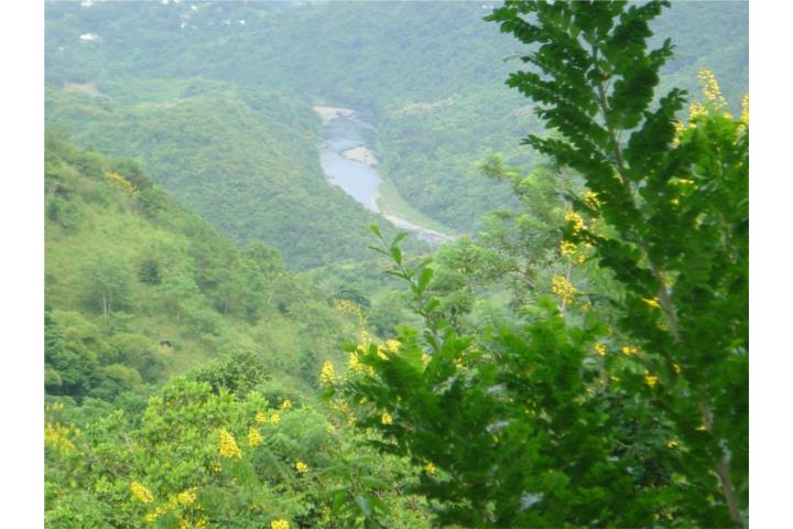 Rio Hondo Puerto Rico, Venta Bienes Raíces Comerío Puerto Rico, Real ...