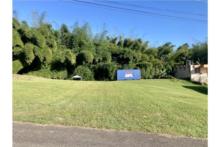 Capa Puerto Rico, Venta Bienes Raíces Moca Puerto Rico, Real Estate for ...