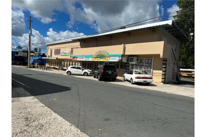 Padilla Puerto Rico, Bienes Raices Padilla Real Estate Corozal Puerto Rico