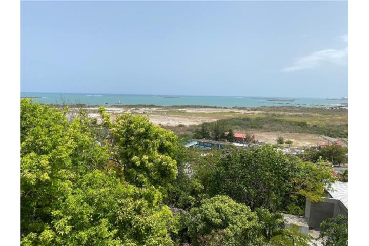 Tallaboa Encarnacion Puerto Rico, Venta Bienes Raíces Peñuelas Puerto ...