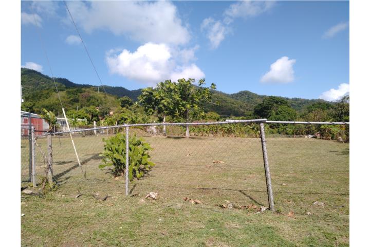Guardarraya Puerto Rico, Venta Bienes Raíces Patillas Puerto Rico, Real ...