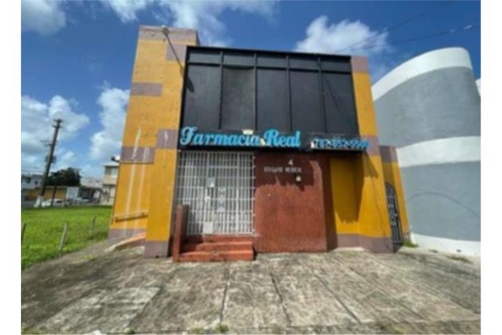 Pueblo Humacao Puerto Rico, Venta Bienes Raíces Humacao Puerto Rico ...