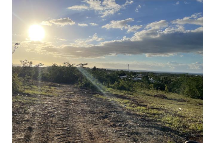 Miradero Puerto Rico, Venta Bienes Raíces Cabo Rojo Puerto Rico, Real ...