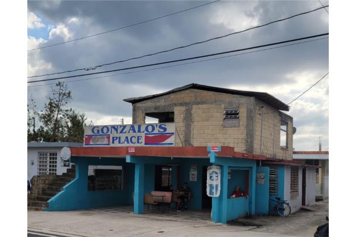 El Mani Puerto Rico, Venta Bienes Raíces Mayagüez Puerto Rico, Real ...