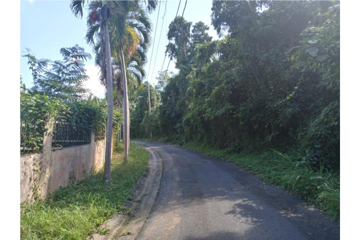 Quebrada Puerto Rico, Venta Bienes Raíces Fajardo Puerto Rico, Real ...