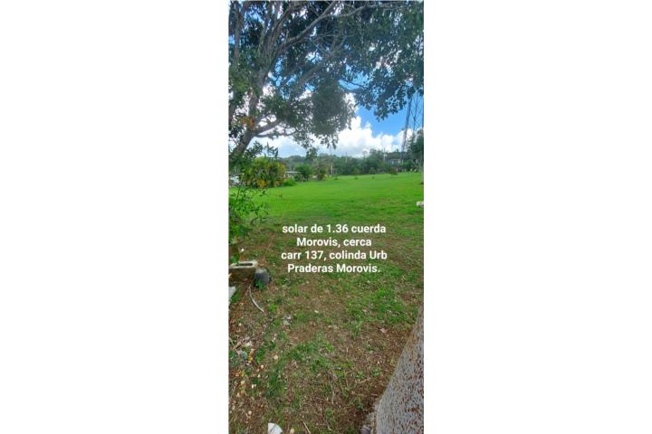 Morovis Sur Puerto Rico, Venta Bienes Raíces Morovis Puerto Rico, Real ...