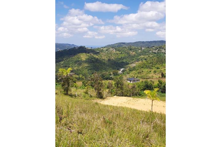 Cejas Puerto Rico, Venta Bienes Raíces Comerío Puerto Rico, Real Estate ...