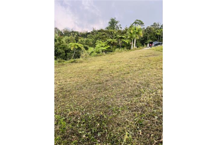 Guavate Puerto Rico, Venta Bienes Raíces Cayey Puerto Rico, Real Estate ...