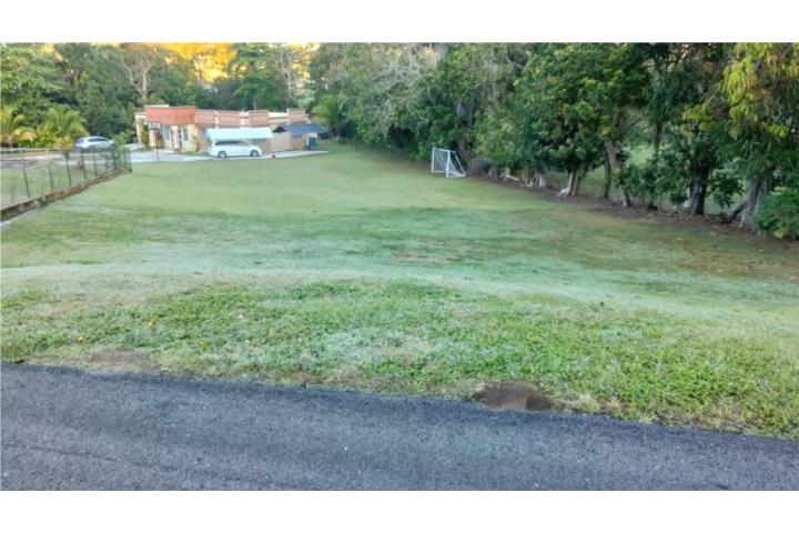 Robles Puerto Rico, Venta Bienes Raíces San Sebastián Puerto Rico, Real ...