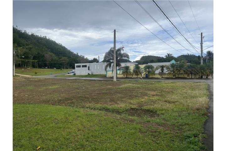 Prados Del Rio Encantado Puerto Rico, Venta Bienes Raíces Florida ...