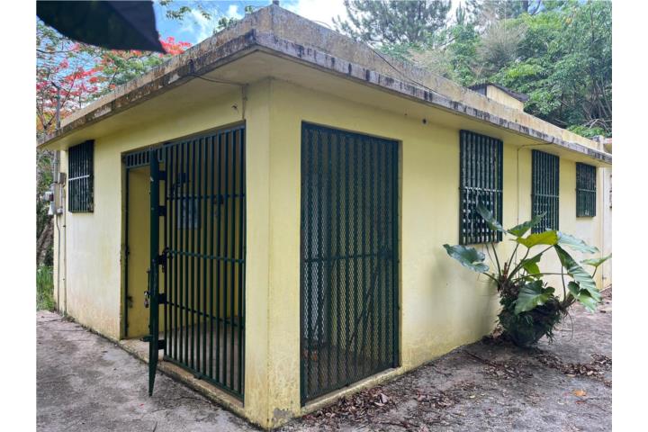 Palo Hincado Puerto Rico, Venta Bienes Raíces Barranquitas Puerto Rico ...