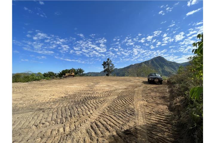 Lago Caonillas, vista espectacular,