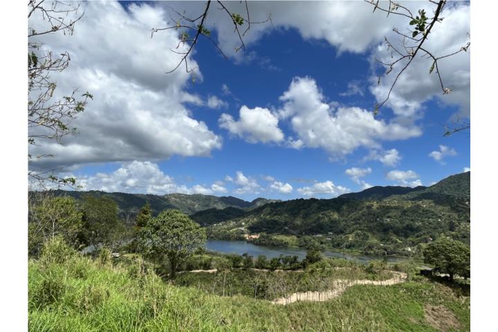 Lago Caonillas, vista espectacular,