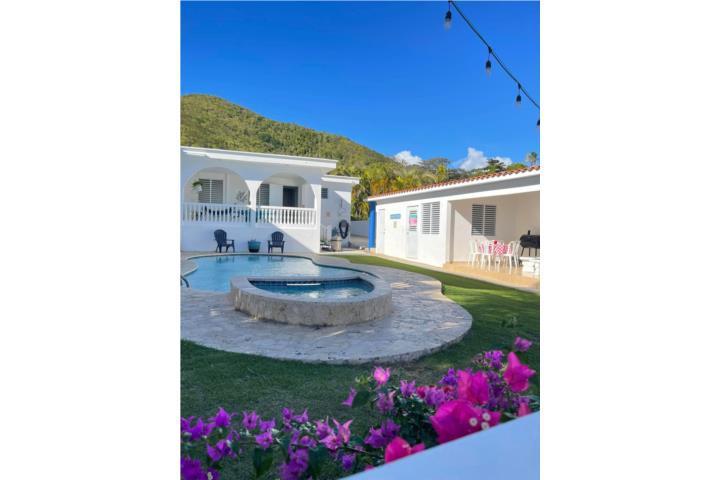 Guardarraya Puerto Rico, Venta Bienes Raíces Patillas Puerto Rico, Real ...