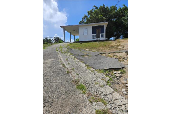 Ceiba Sur Puerto Rico, Venta Bienes Raíces Juncos Puerto Rico, Real ...