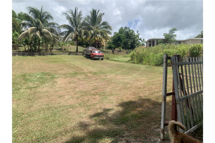 Monte Brisas Puerto Rico, Venta Bienes Raíces Gurabo Puerto Rico, Real ...
