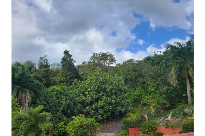 Real Puerto Rico, Venta Bienes Raíces Patillas Puerto Rico, Real Estate ...