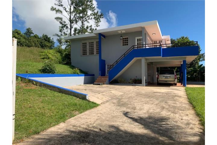 Higuerillo Puerto Rico, Venta Bienes Raíces Naguabo Puerto Rico, Real ...