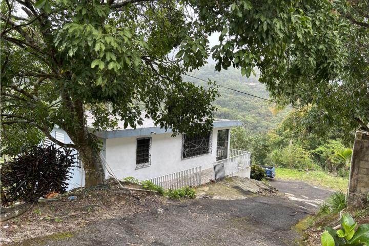 Naranjo Puerto Rico, Venta Bienes Raíces Yauco Puerto Rico, Real Estate ...