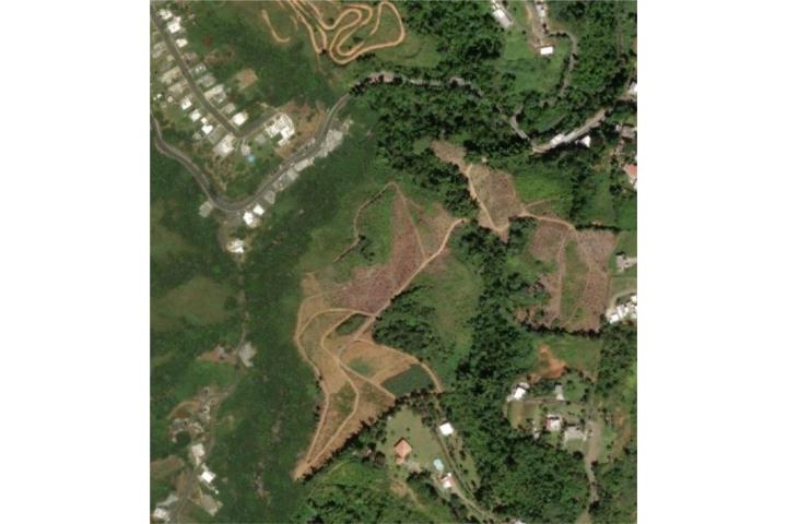 Padilla Puerto Rico, Venta Bienes Raíces Corozal Puerto Rico, Real ...