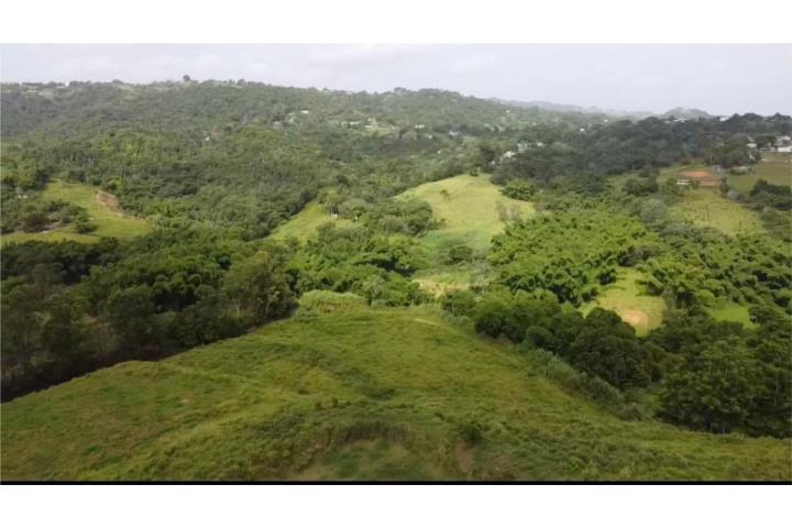 Padilla Puerto Rico, Venta Bienes Raíces Corozal Puerto Rico, Real ...