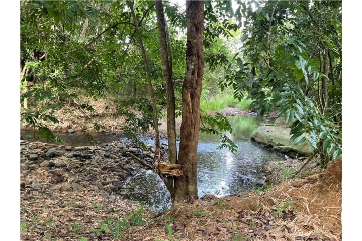 Padilla Puerto Rico, Venta Bienes Raíces Corozal Puerto Rico, Real ...
