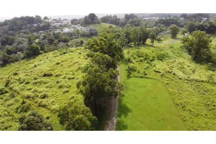 Padilla Puerto Rico, Venta Bienes Raíces Corozal Puerto Rico, Real ...