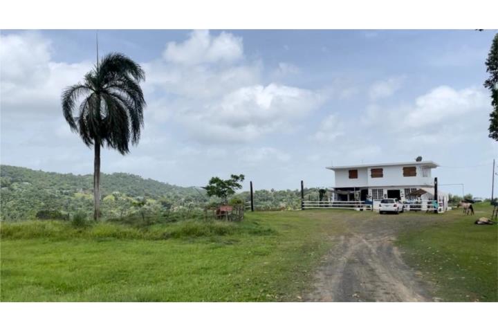 Padilla Puerto Rico, Venta Bienes Raíces Corozal Puerto Rico, Real ...