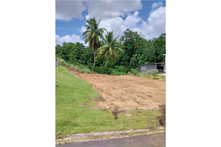 Fincas Bonitas Puerto Rico, Venta Bienes Raíces Juncos Puerto Rico ...