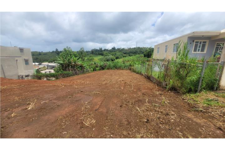 Paloma Puerto Rico, Venta Bienes Raíces Comerío Puerto Rico, Real ...