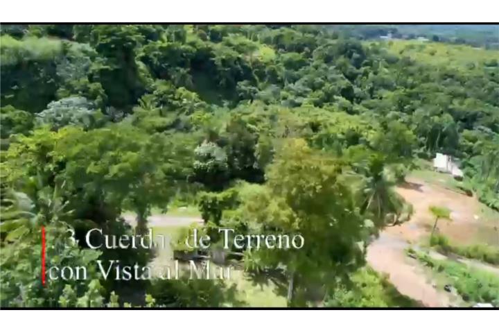 Guzman Abajo Puerto Rico, Venta Bienes Raíces Río Grande Puerto Rico ...