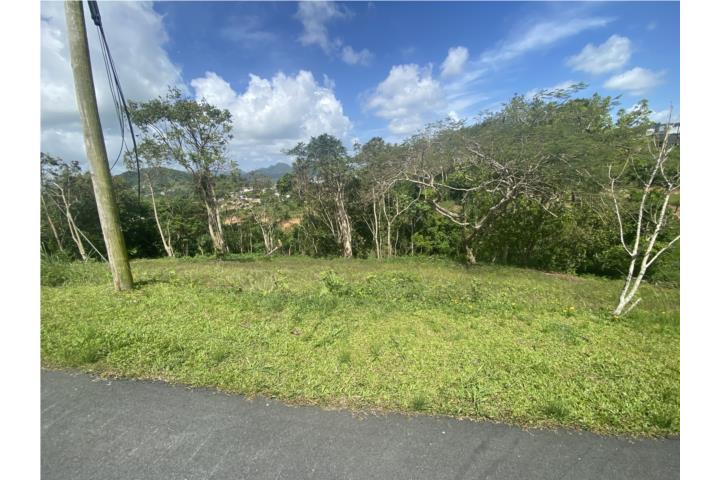 Cerro Gordo Puerto Rico, Venta Bienes Raíces San Lorenzo Puerto Rico ...