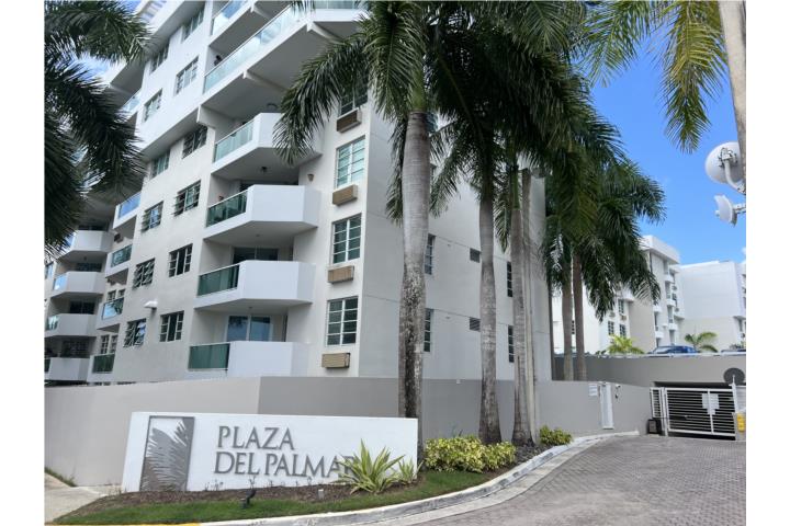 SOLD, Vendido Plaza Del Palmar Puerto Rico, Venta Bienes Raíces ...