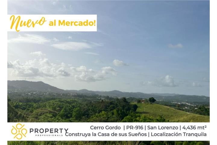 Cerro Gordo Puerto Rico, Venta Bienes Raíces San Lorenzo Puerto Rico ...