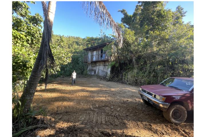 Vacas Puerto Rico, Venta Bienes Raíces Villalba Puerto Rico, Real ...