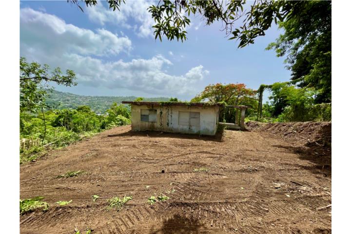 Campo Rico Puerto Rico, Venta Bienes Raíces Canóvanas Puerto Rico, Real ...