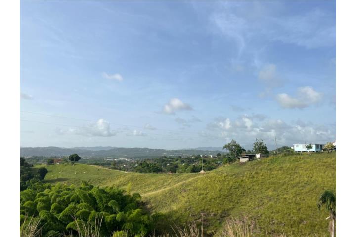 Cerro Gordo Puerto Rico, Venta Bienes Raíces San Lorenzo Puerto Rico ...