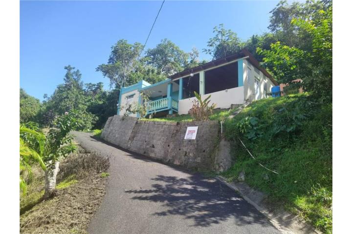 Castaner Puerto Rico, Venta Bienes Raíces Lares Puerto Rico, Real ...