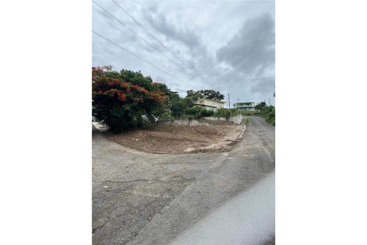 Encarnacion Puerto Rico, Venta Bienes Raíces Lajas Puerto Rico, Real ...