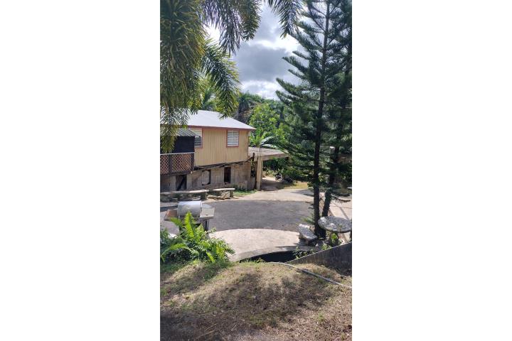 Santa Olaya Puerto Rico, Venta Bienes Raíces Bayamón Puerto Rico, Real ...