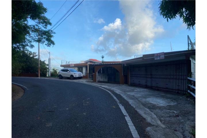 Collores Puerto Rico, Venta Bienes Raíces Yauco Puerto Rico, Real ...
