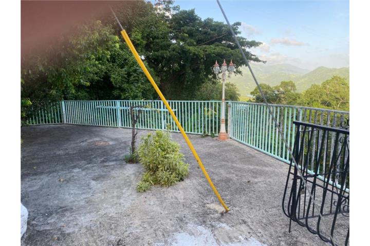 Collores Puerto Rico, Venta Bienes Raíces Yauco Puerto Rico, Real ...