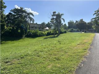 Robles Puerto Rico, Venta Bienes Raíces San Sebastián Puerto Rico, Real ...